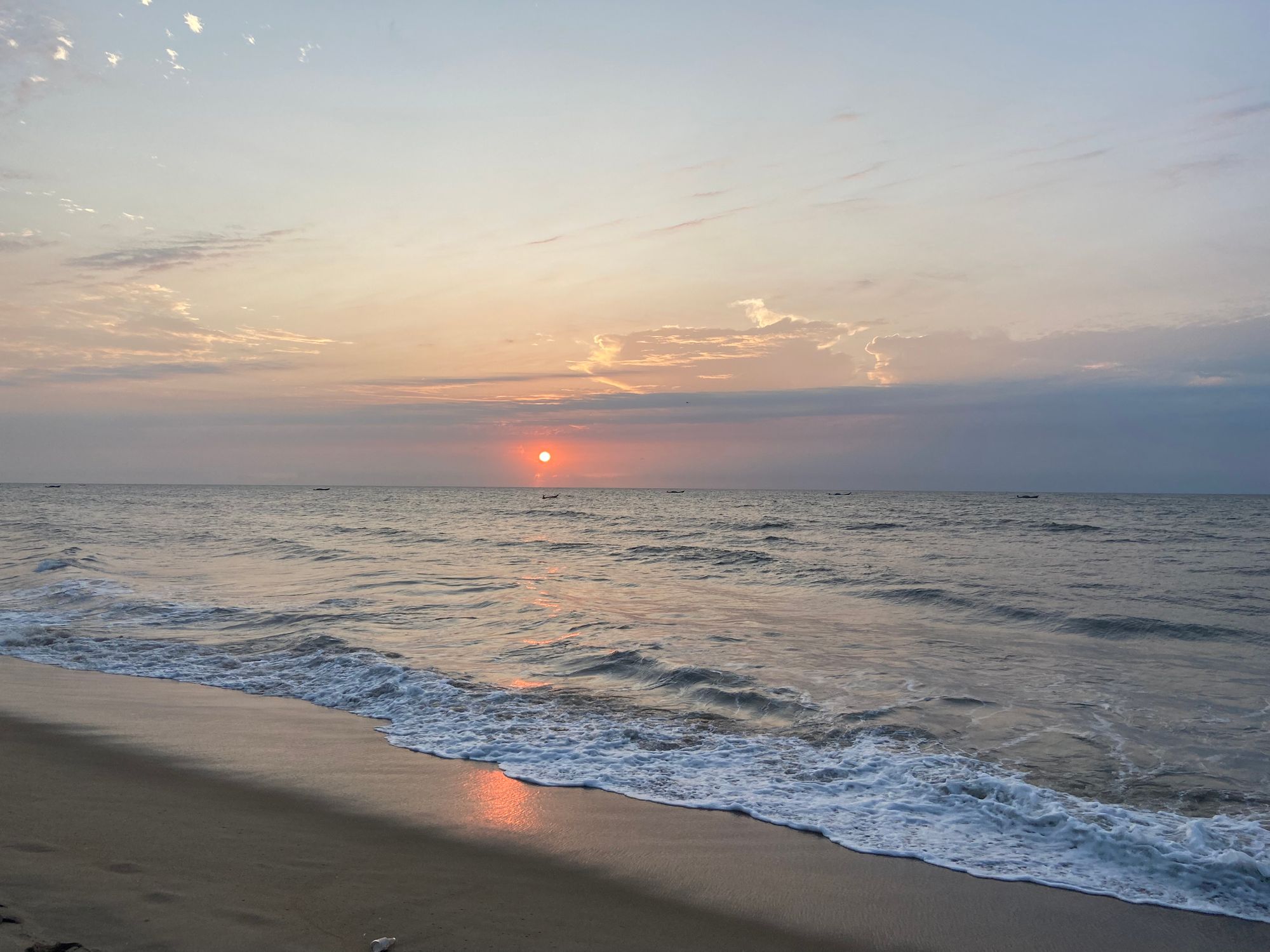 Shefali Shivhare - Blog